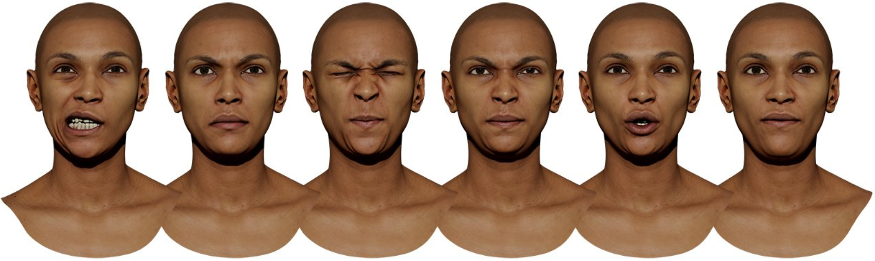 [Unavailable] Perception of virtual faces – Student Projects